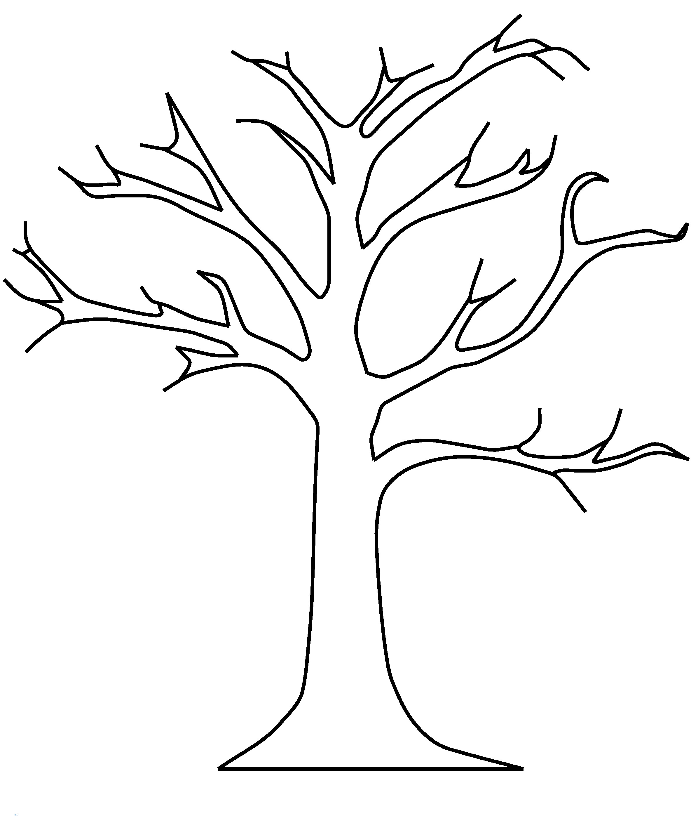 Free Leafless Tree Outline Printable Download Free Clip Art Free 